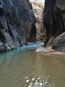 Hiking The Narrows At Zion National Park | Ultimate Guide - tworoamingsouls
