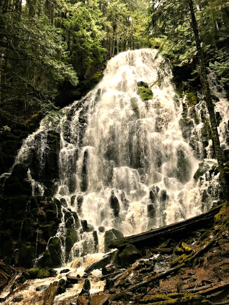 Ramona Falls: Oregon | The Complete Hiker's Guide - Two Roaming Souls
