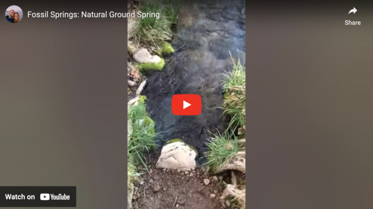 Fossil Creek Wilderness: A Natural River Oasis in Arizona - Two Roaming ...