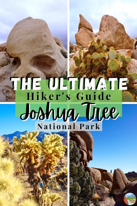 Joshua Tree National Park | 2 Day Itinerary Epic Guide - tworoamingsouls