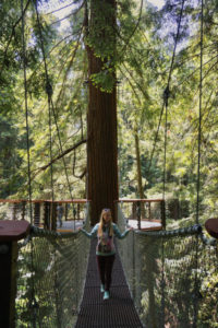 Redwoods Skywalk | California's Aerial Forest Walkway - tworoamingsouls