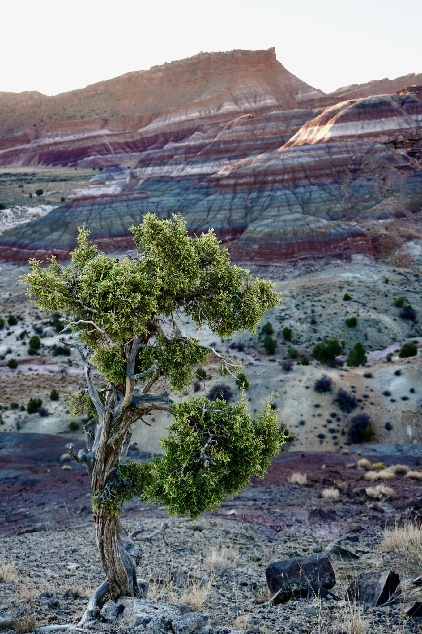 Paria Rainbow Mountains in Utah (Visit The Old Townsite) - tworoamingsouls