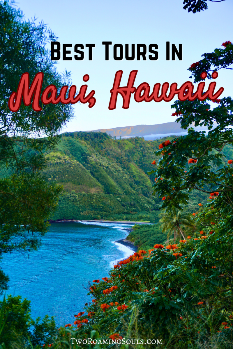 24+ Best Maui Tours & Excursions (Top Local Activities) - Two Roaming Souls