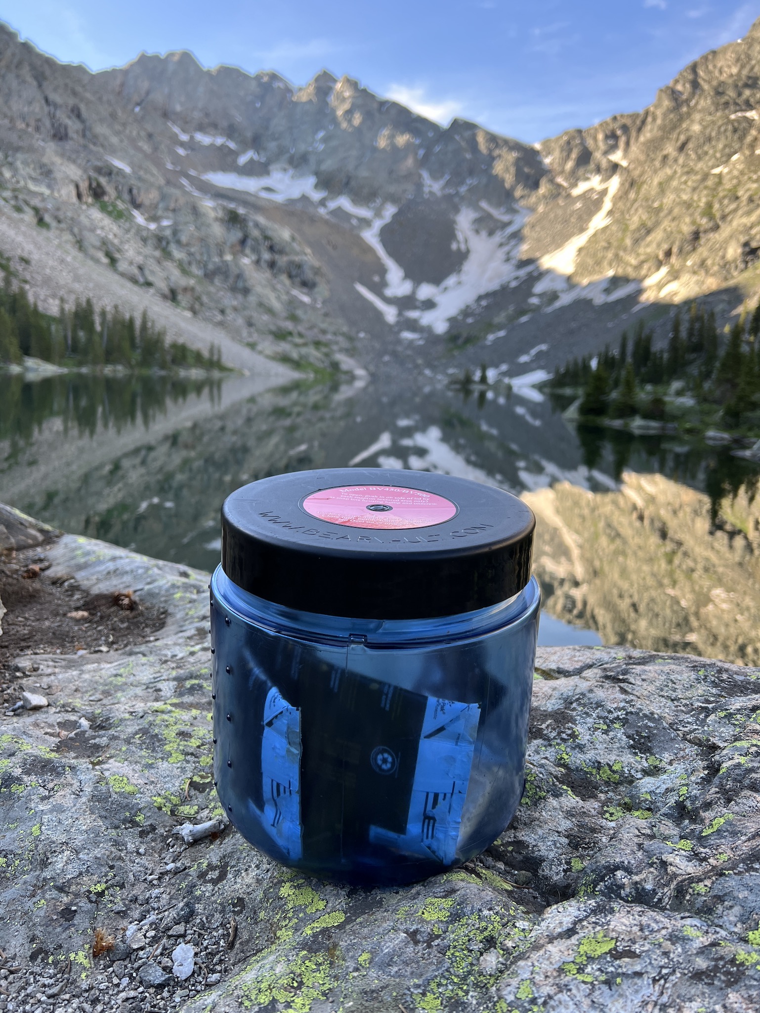 Essential Bear Safety Guide For Visiting Bear Country - Two Roaming Souls