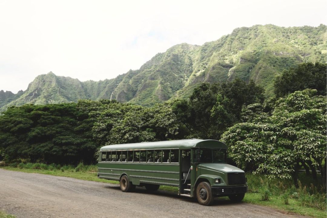 Best Vans To Live In And Convert For Vanlife - Two Roaming Souls