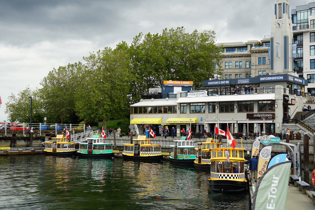 25+ Top Things To Do In Victoria, British Columbia - Two Roaming Souls