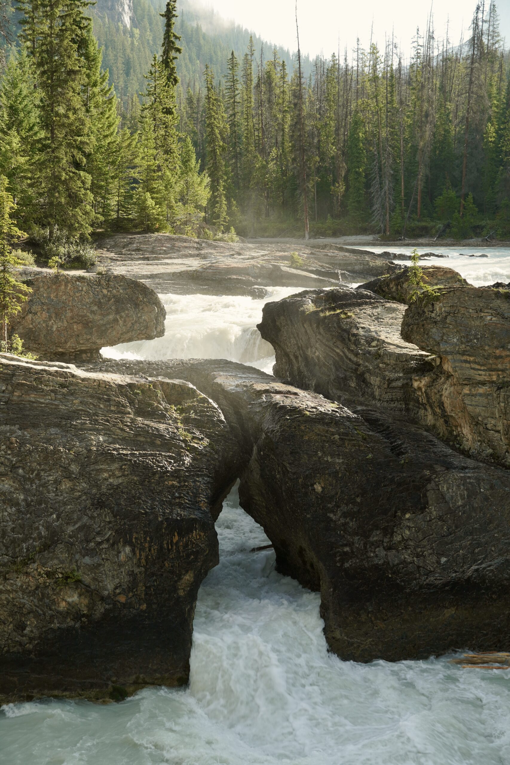 14+ Top Things To Do In Yoho National Park - Two Roaming Souls