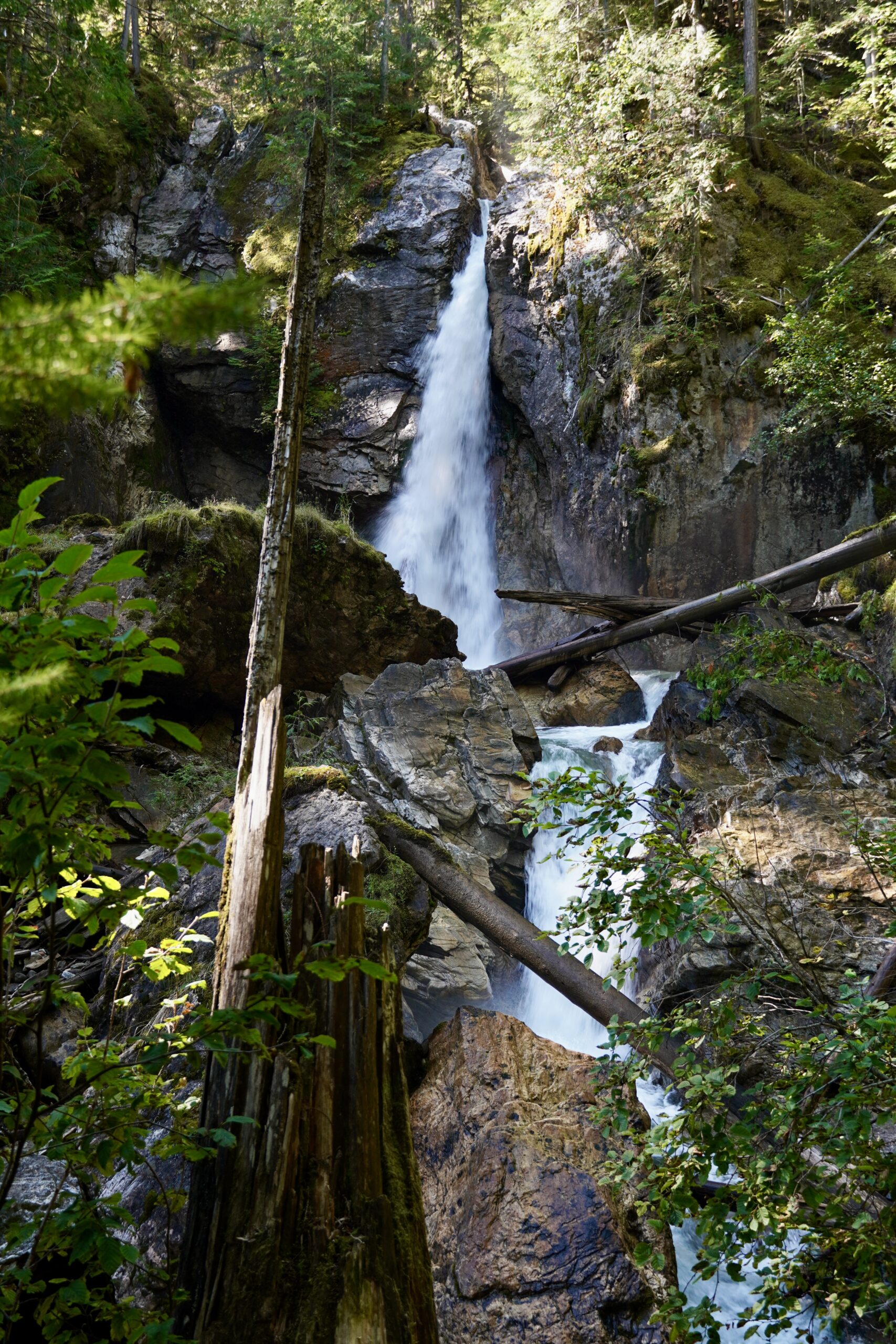 Best Things To Do In Revelstoke, BC: Adventure, Attractions, & More ...