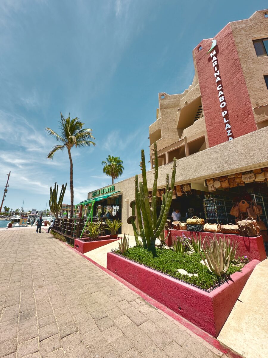 10+ Best Things To Do In Cabo, Mexico (+Tips, Where To Stay, & More ...